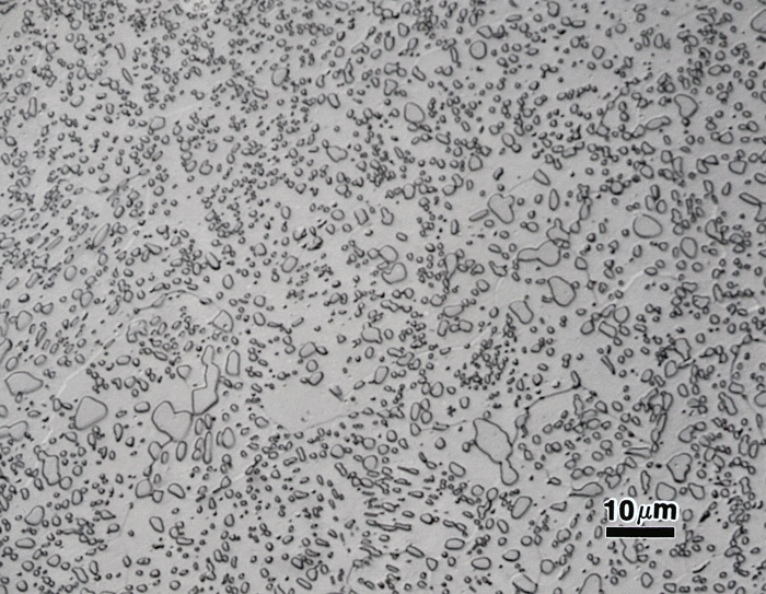 Revealing the Microstructure of Tool Steels